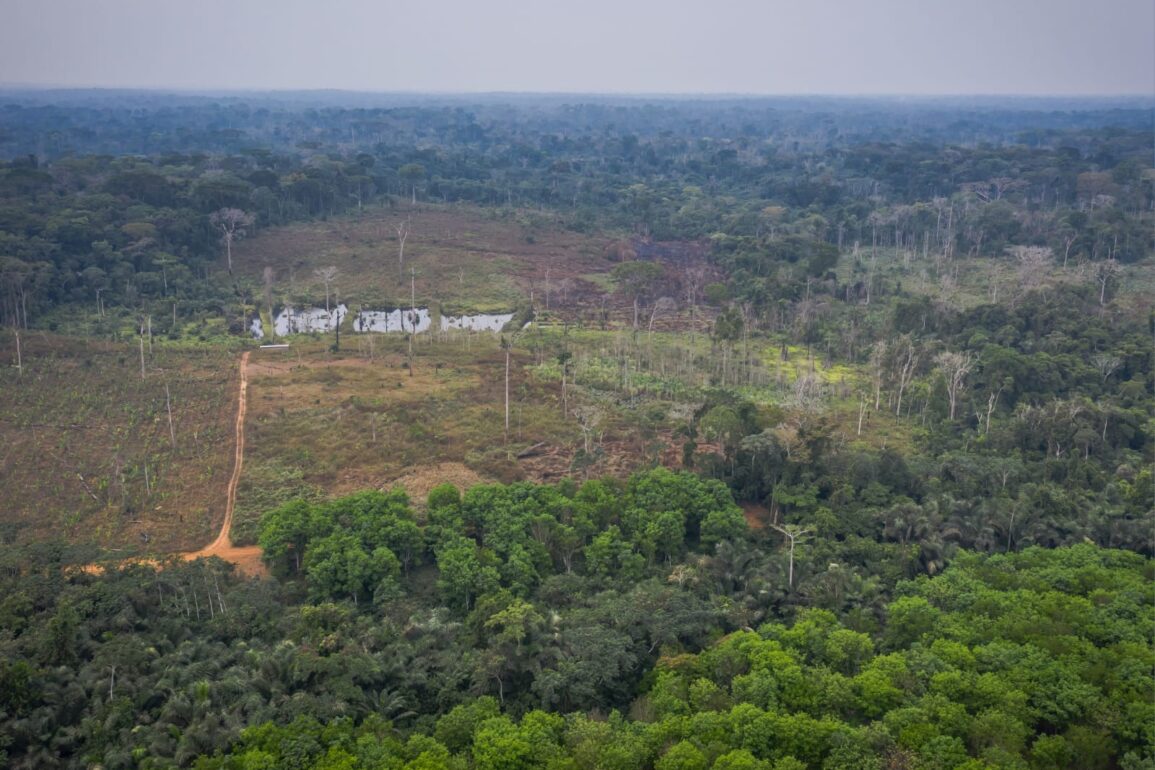 Important Facts About the Congo Basin: The World's 2nd Largest ...